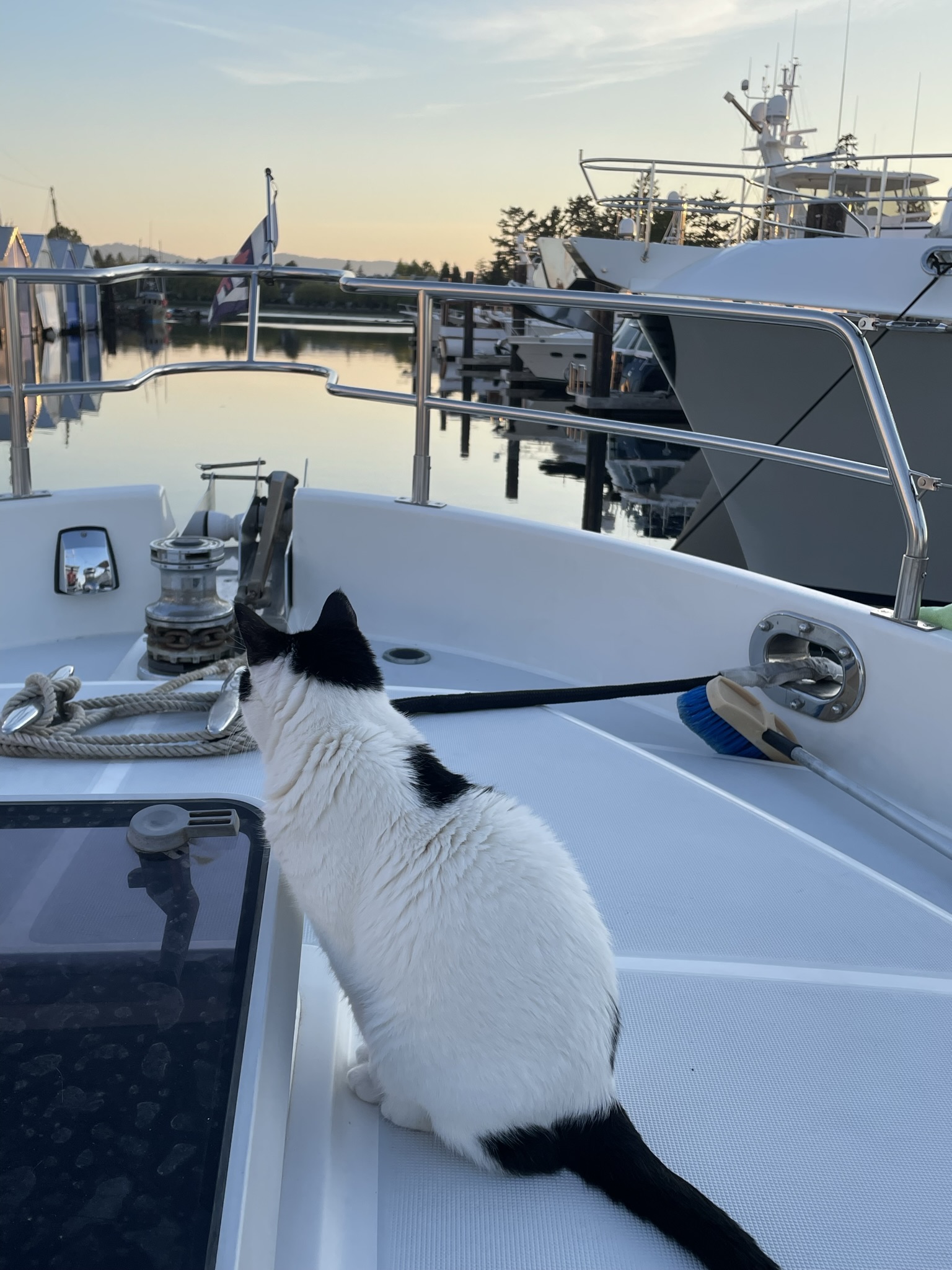 Liveaboard Life – MV Eudora